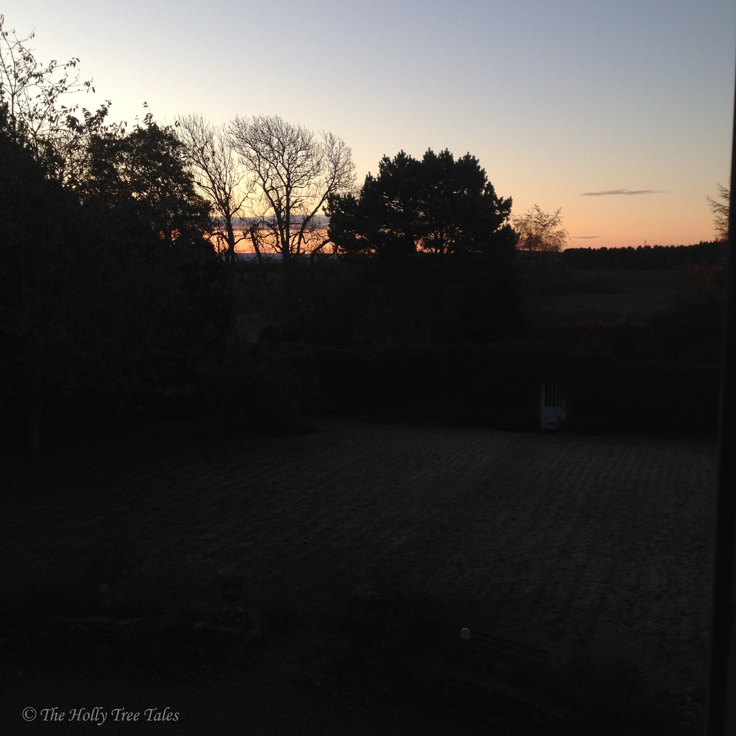 Late Autumn Musings | The Holly Tree Tales