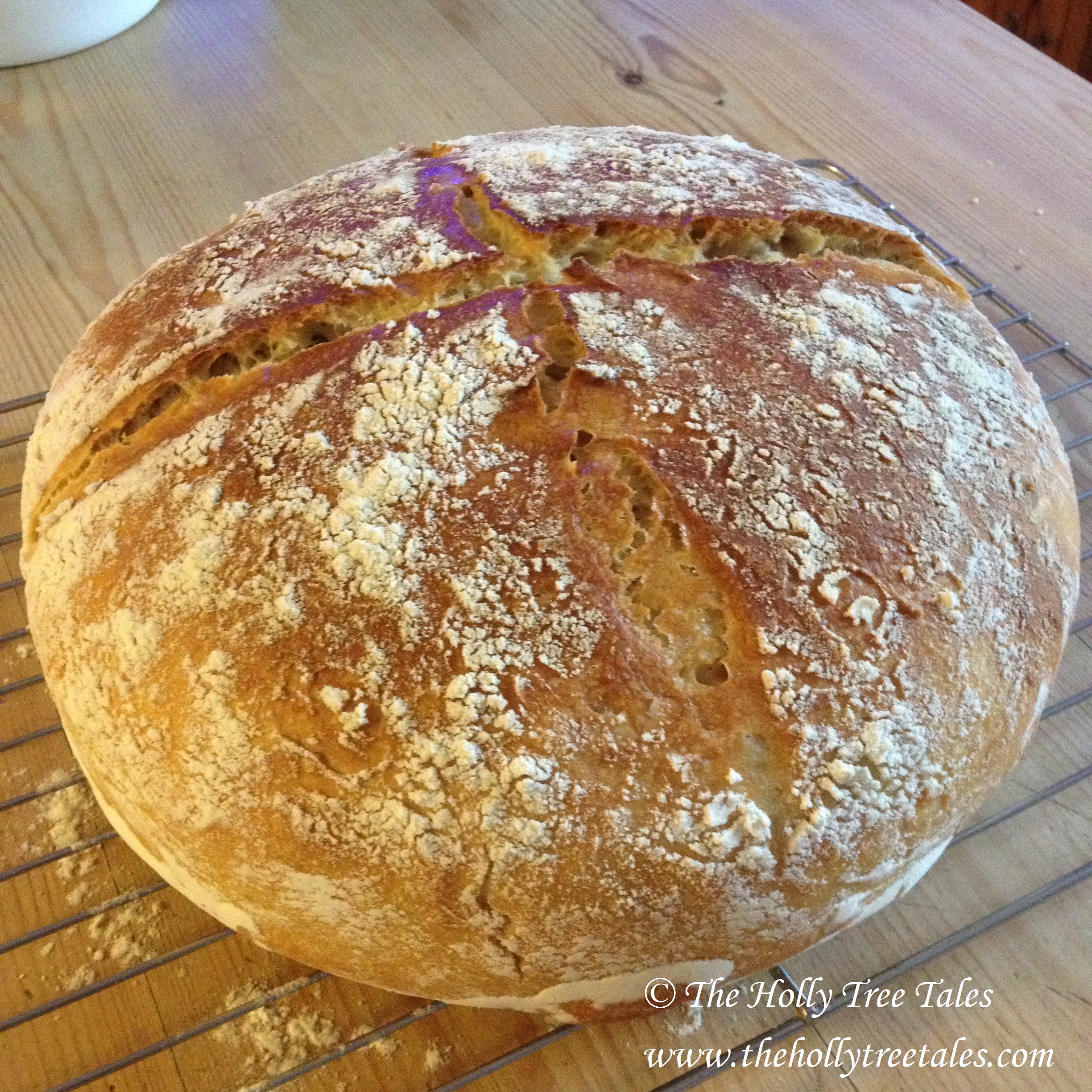 A Little Bread Story | The Holly Tree Tales